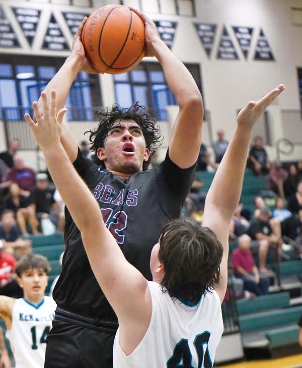 Pauole, Apo help Bears take down Na Alii 58-52 in OT | News, Sports ...